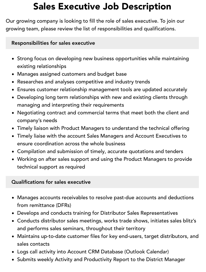  Sales Executive Job Description Velvet Jobs