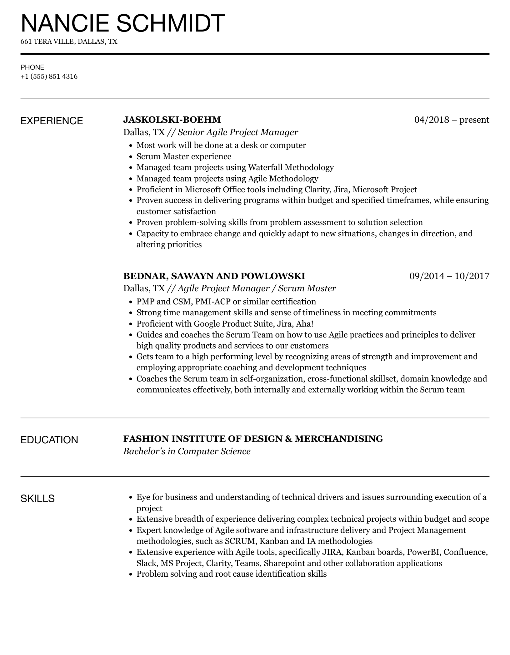 Agile Project Manager Resume Luisalvesthomaz