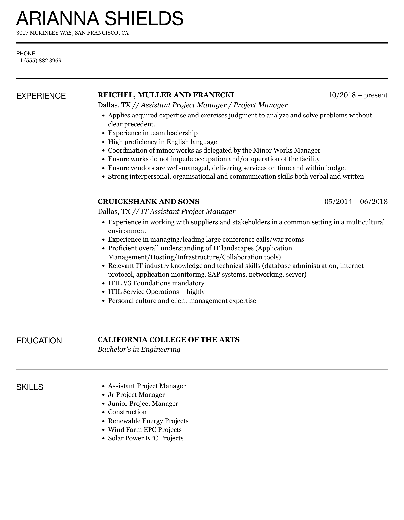Assistant Project Manager