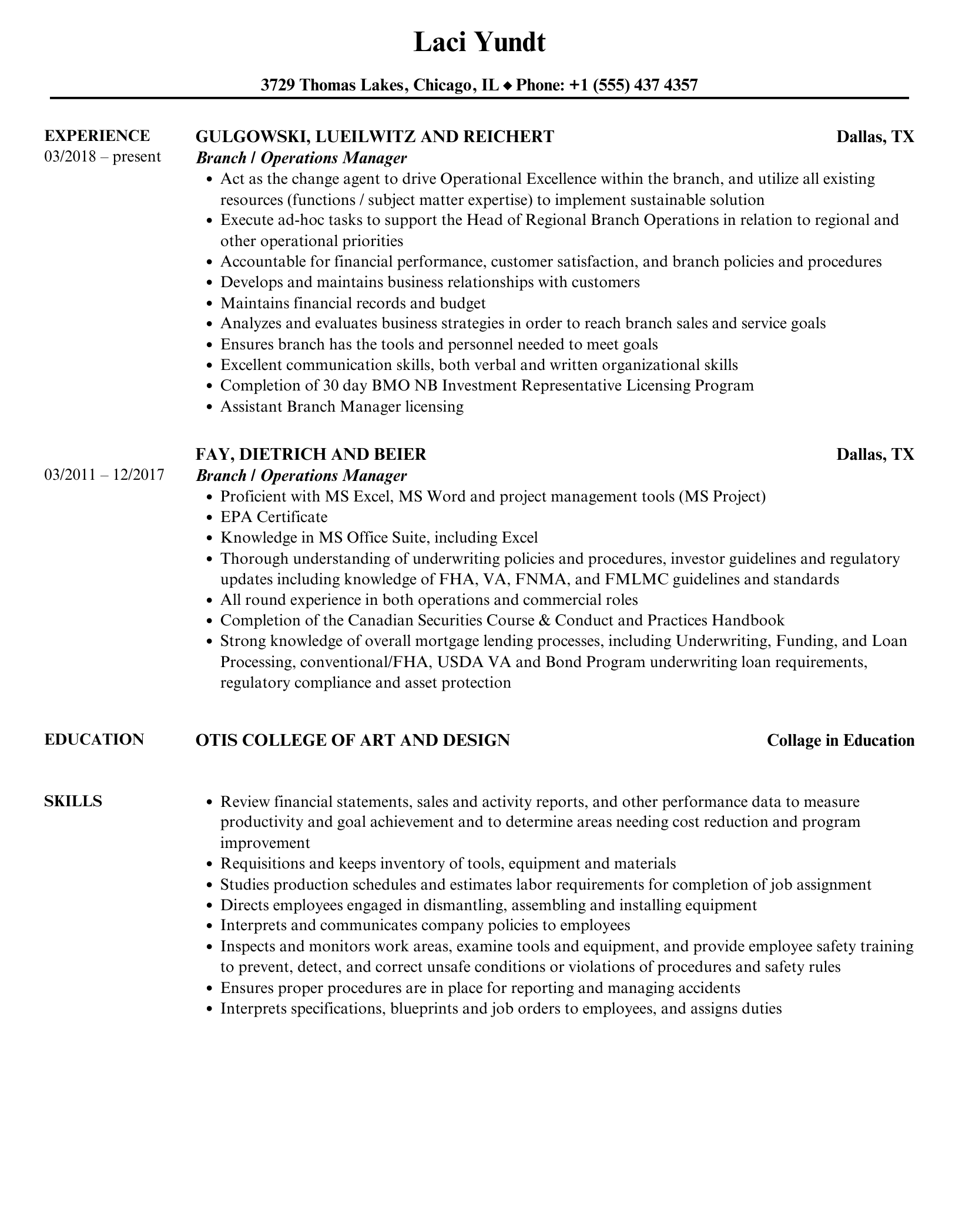 Branch Operations Manager Resume Samples Velvet Jobs