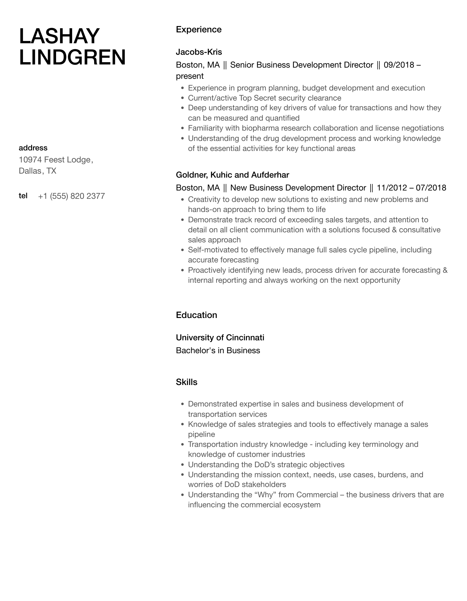 Business Development Director Resume Samples Velvet Jobs