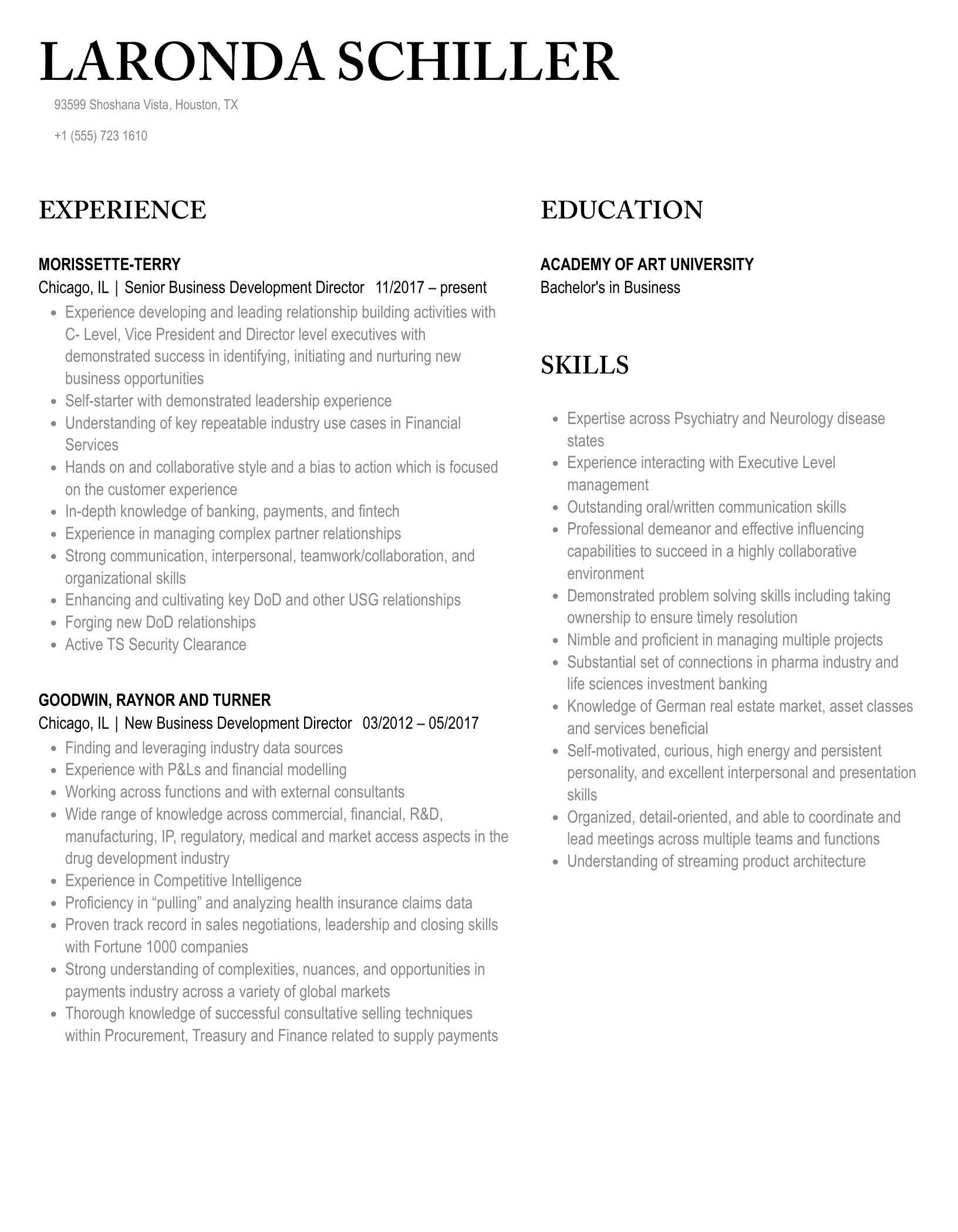 Business Development Director Resume Samples Velvet Jobs