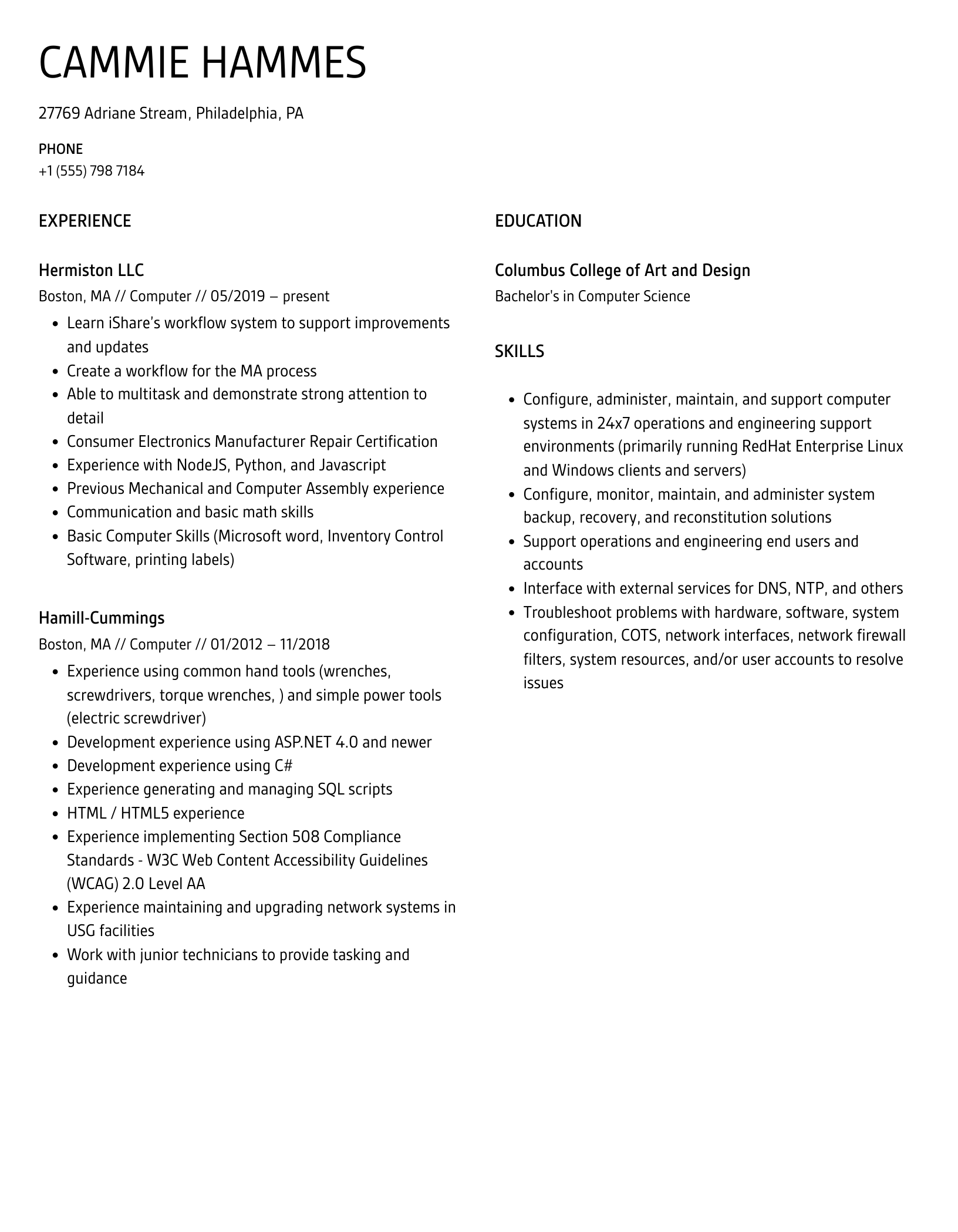 Computer Resume Samples Velvet Jobs