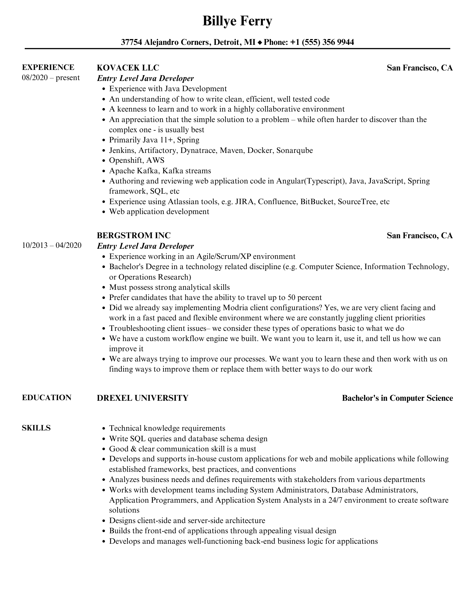 Junior Java Developer Resume Samples Templates PDF Word 2023 Junior 