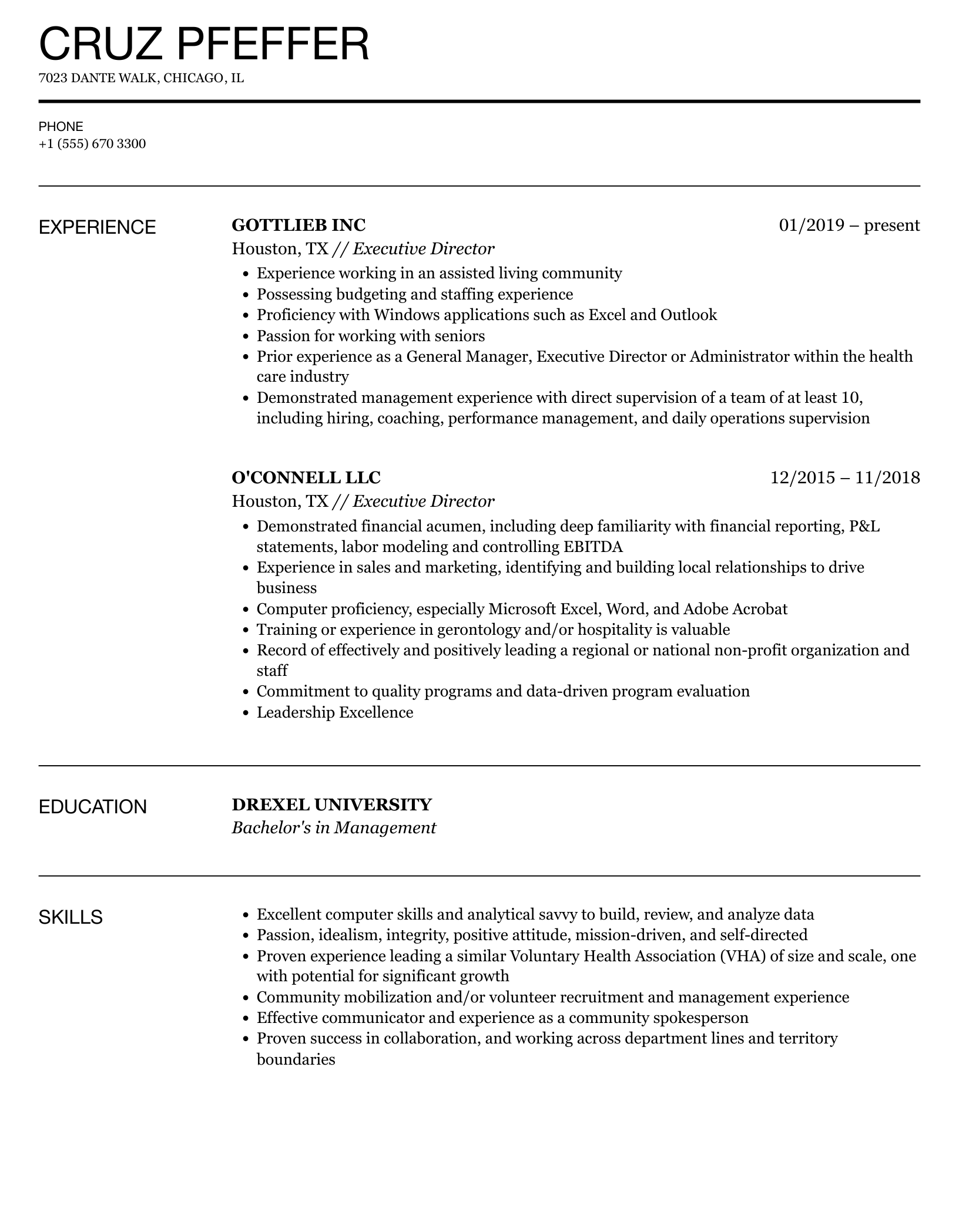 Executive Director Resume Samples Velvet Jobs