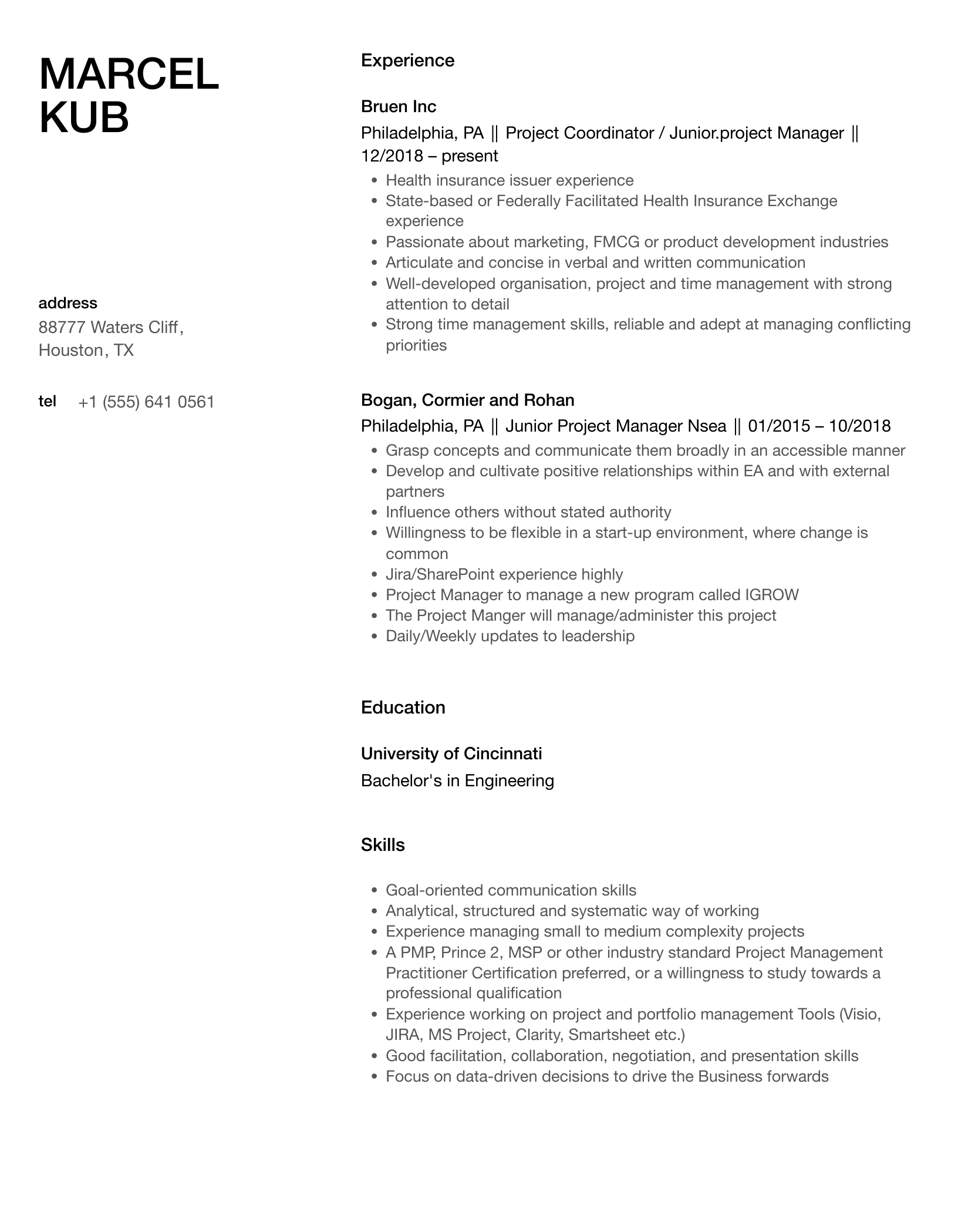 Junior Project Manager Resume Samples Velvet Jobs