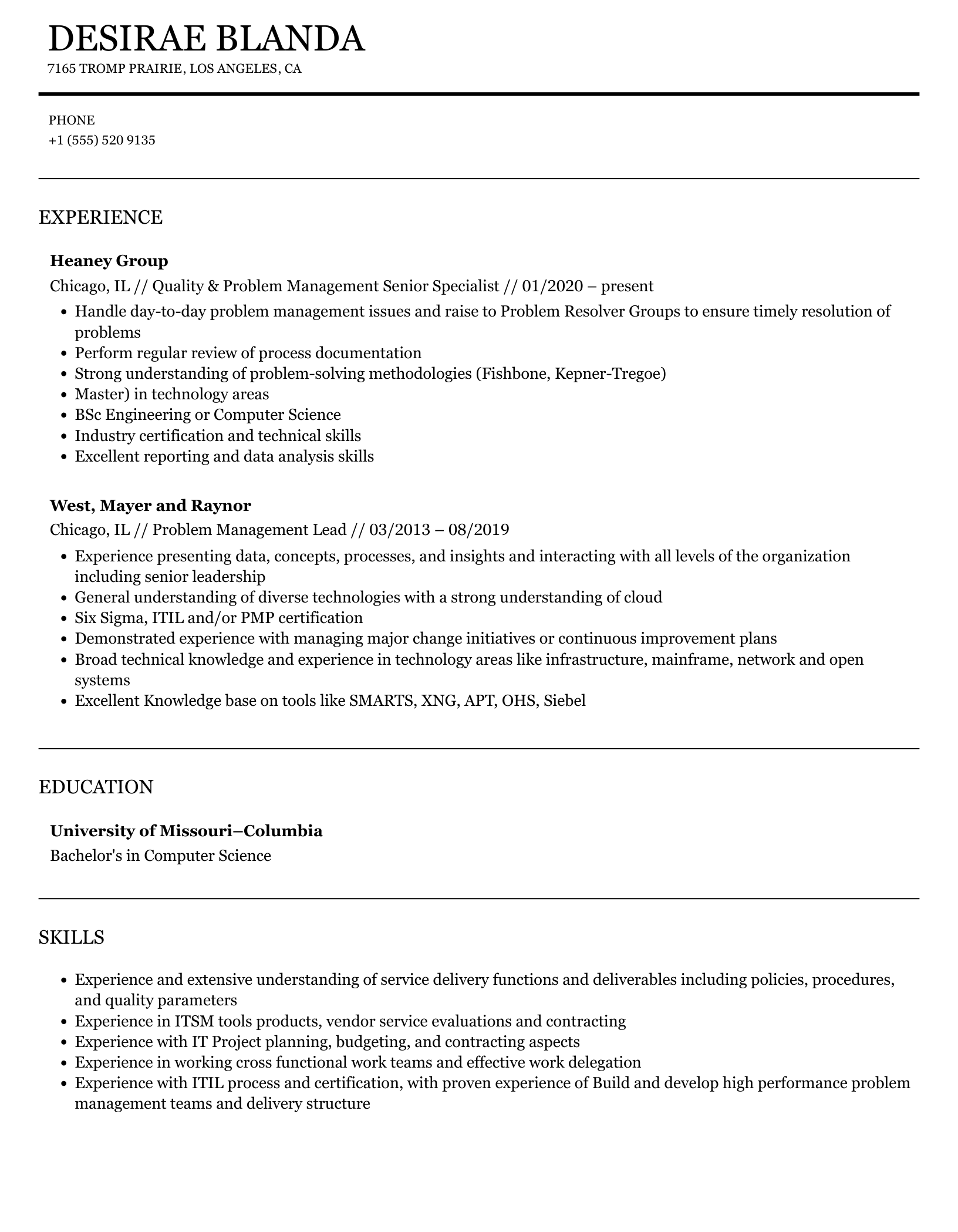Problem Solving Skills Resume Samples Sky Resume Examples Riset