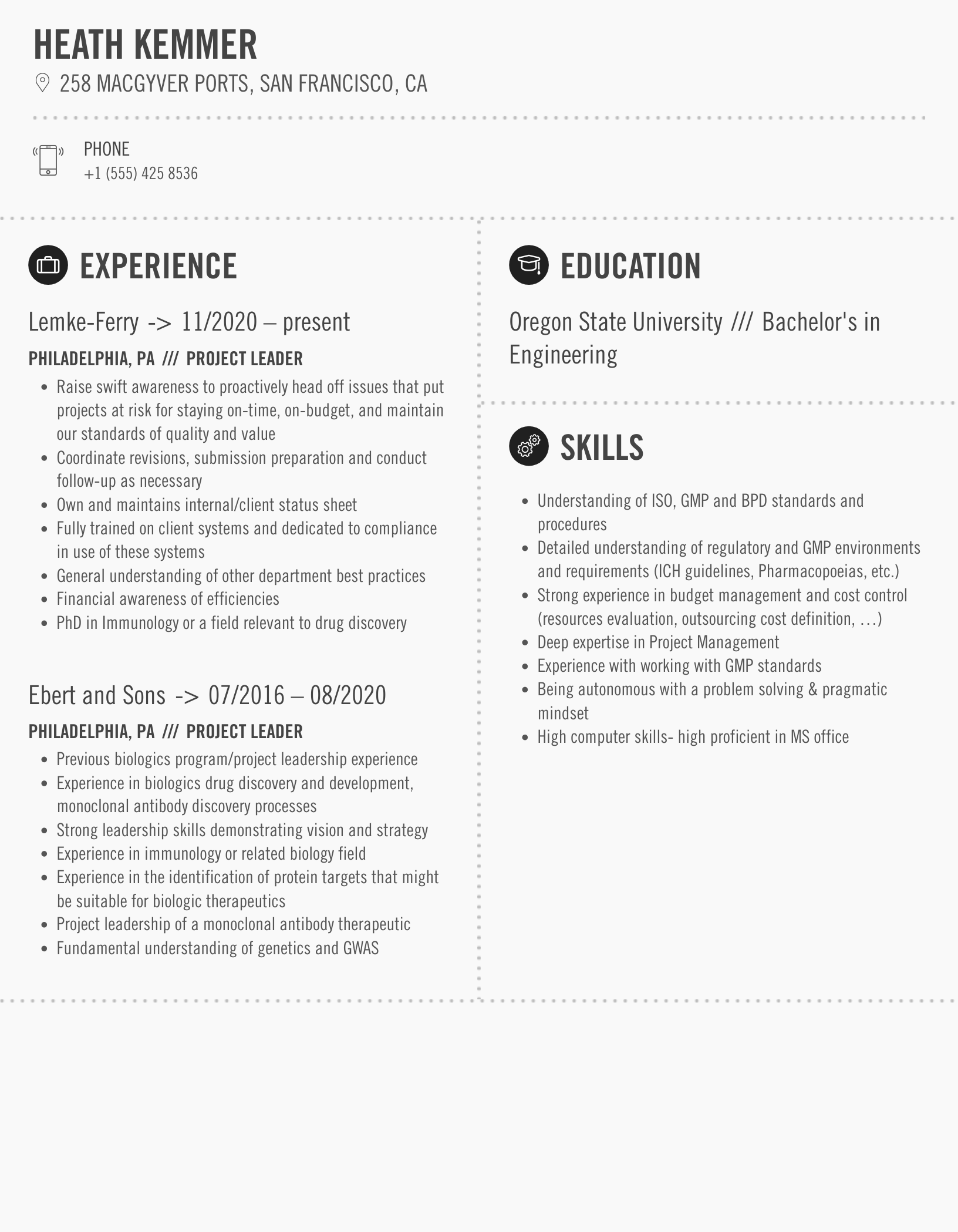 Project Leader Resume Samples Velvet Jobs