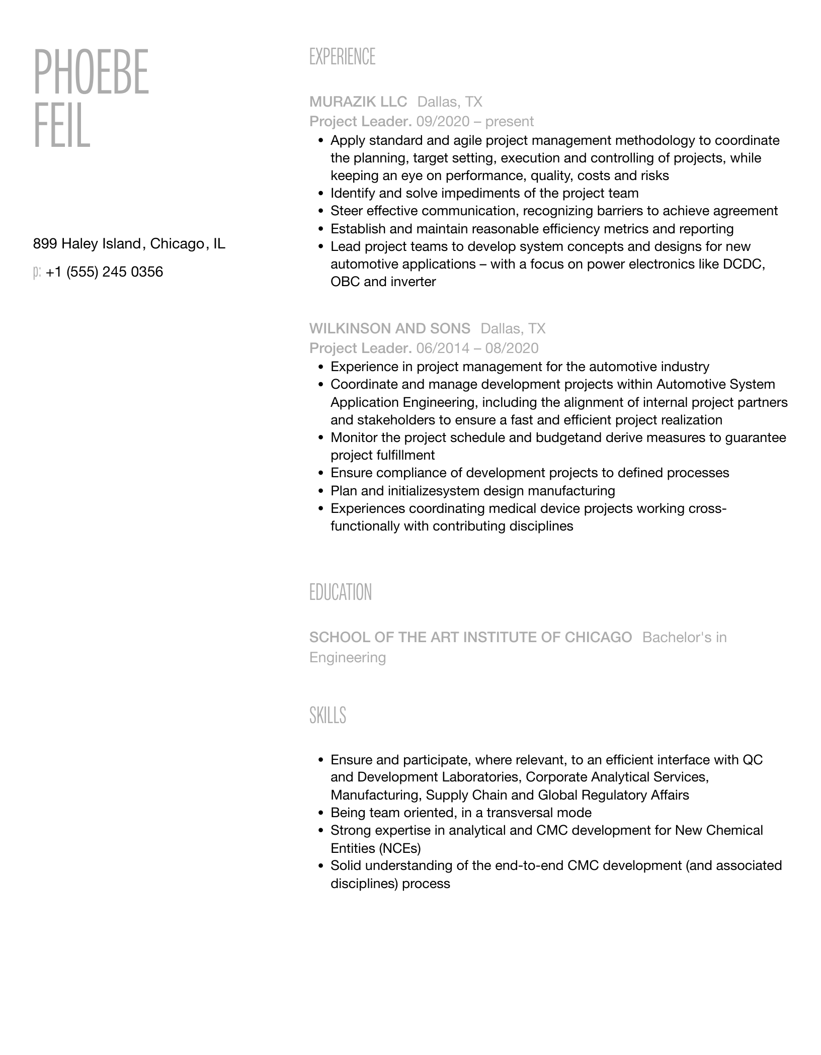 Project Leader Resume Samples Velvet Jobs