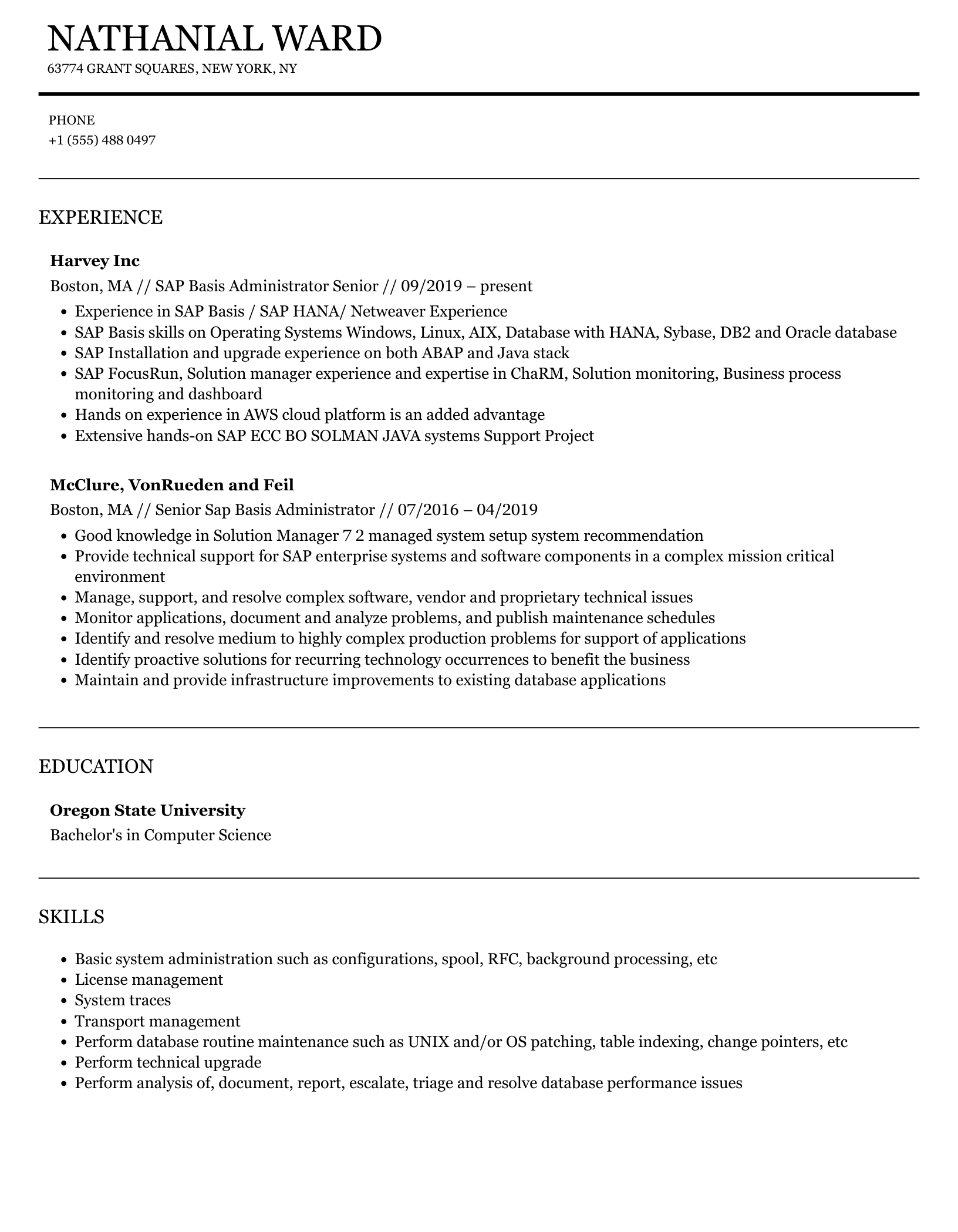 Total 85 Imagem background Work Process In Sap Basis 
